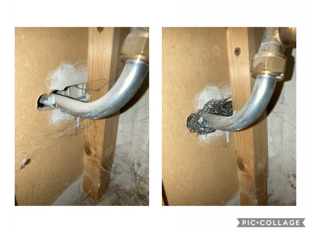 PestiWire RVS wering gaas (NetNox kwaliteit) - 1 meter lang 9 cm breed