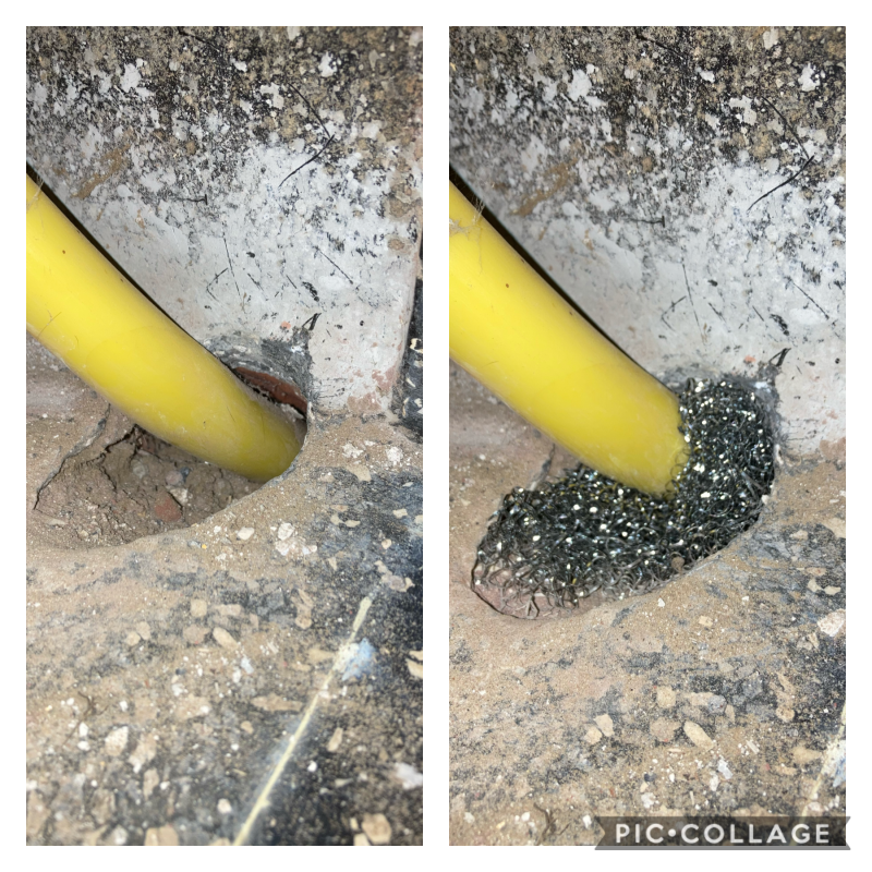 PestiWire RVS wering gaas (NetNox kwaliteit) - 1 meter lang 9 cm breed